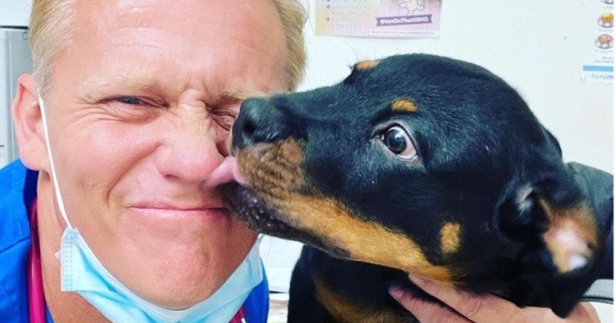 Poo-ch happens: the expert guide to your dog's poo - with Vet Dr Scott ...