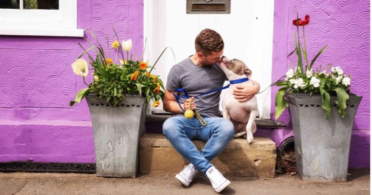 Expert canine behaviourist reveals how ‘Doggywobbles’ – AKA dog anxiety ...